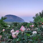 Цветы Краснокаменки (Autonomous Republic of Crimea, Yaltinskiy gorodskoy sovet, posyolok gorodskogo tipa Krasnokamenka, Tsentralnaya ulitsa), bahçecilik mağazaları  Kırım Cumhuriyeti'nden