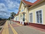 Zheleznodorozhnaya Stantsiya Smorgon (Grodzienskaja Region, Smargon, mikrarajon Centralny), tren garları  Smarhon'dan
