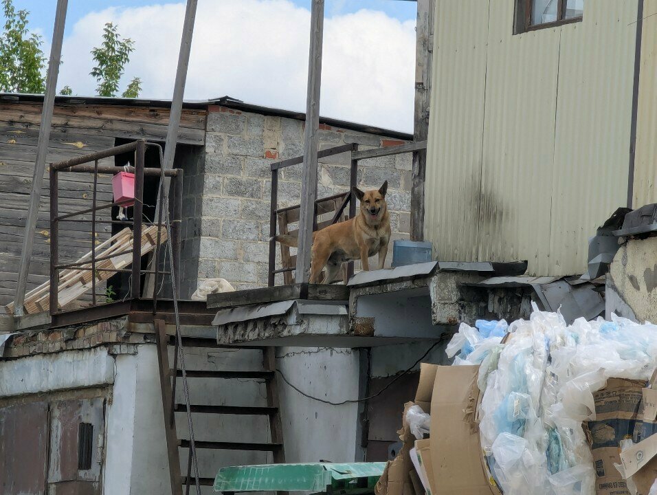 Tartı ve baskül firmaları СтоВесов, Ufa, foto