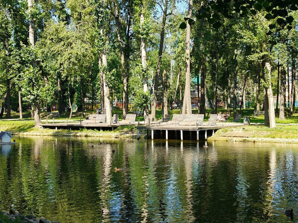 Tatil altyapısı Шезлонги, Voskresensk, foto