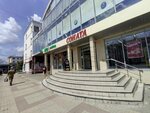 Чайный Дом Китайской Панды (Pavlova Street No:29), kafe  Riazan'dan