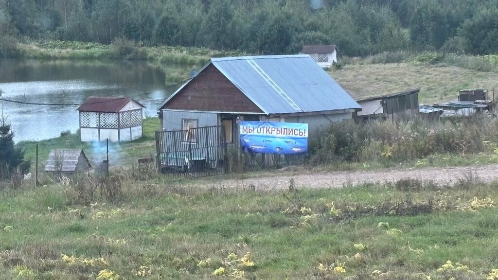 Balık çiftçiliği ve toptancıları Podsekai V Paramonovo, Moskova ve Moskovskaya oblastı, foto