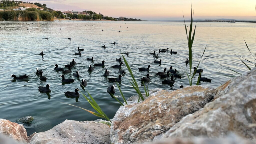 Kültür ve eğlence parkları Atatürk Sahil Parkı, Ankara, foto