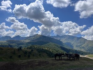 Смотровая площадка (Karachayevo-Circassian Republic, Urupskiy District), seyir terası  Karaçay‑Çerkez Cumhuriyeti'nden