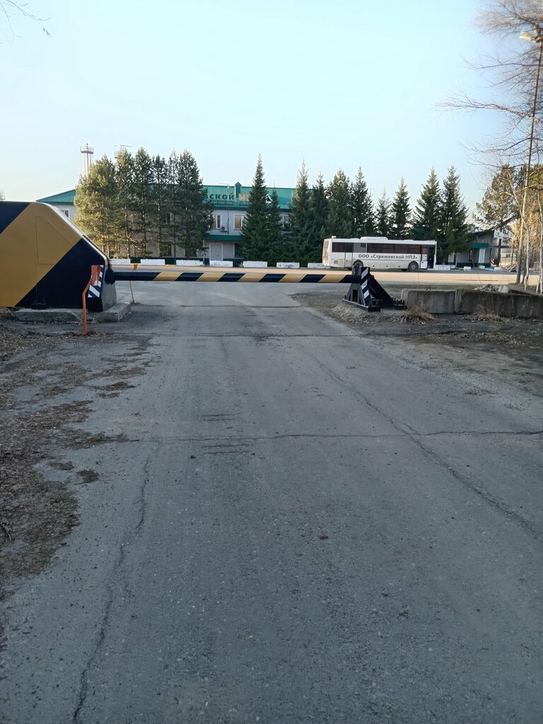 Oto lastik tamiri Грузовой шинный центр, Nijnevartovsk, foto