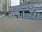 Самолет плюс (Proletarskaya ulitsa No:294), emlak ofisi  Orenburg'dan