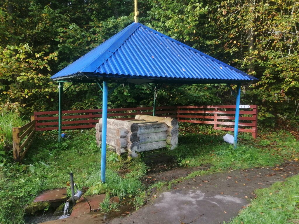Piknik alanı Место для пикника, Brianskaya oblastı, foto