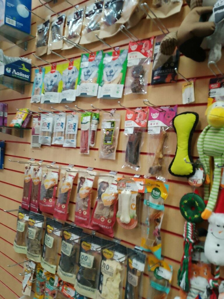 Petshop Мокрый нос, Krasnodarski krayı, foto