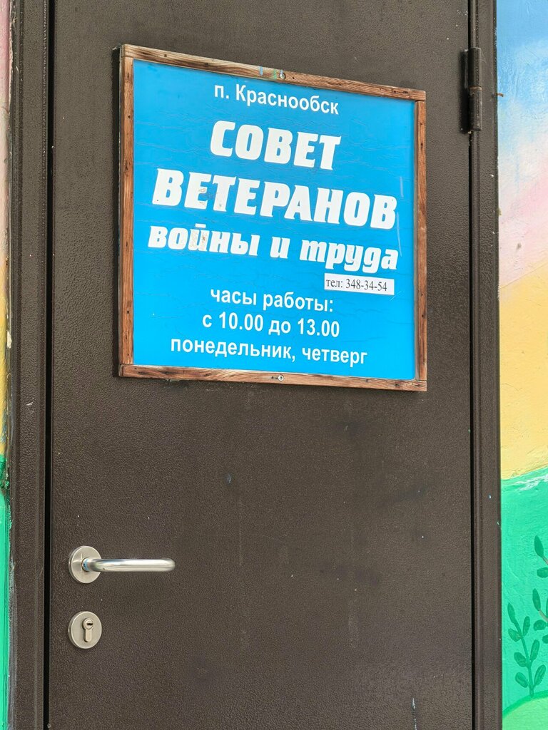 Sivil toplum kuruluşları Совет ветеранов войны и труда, Novosibirskaya oblastı, foto