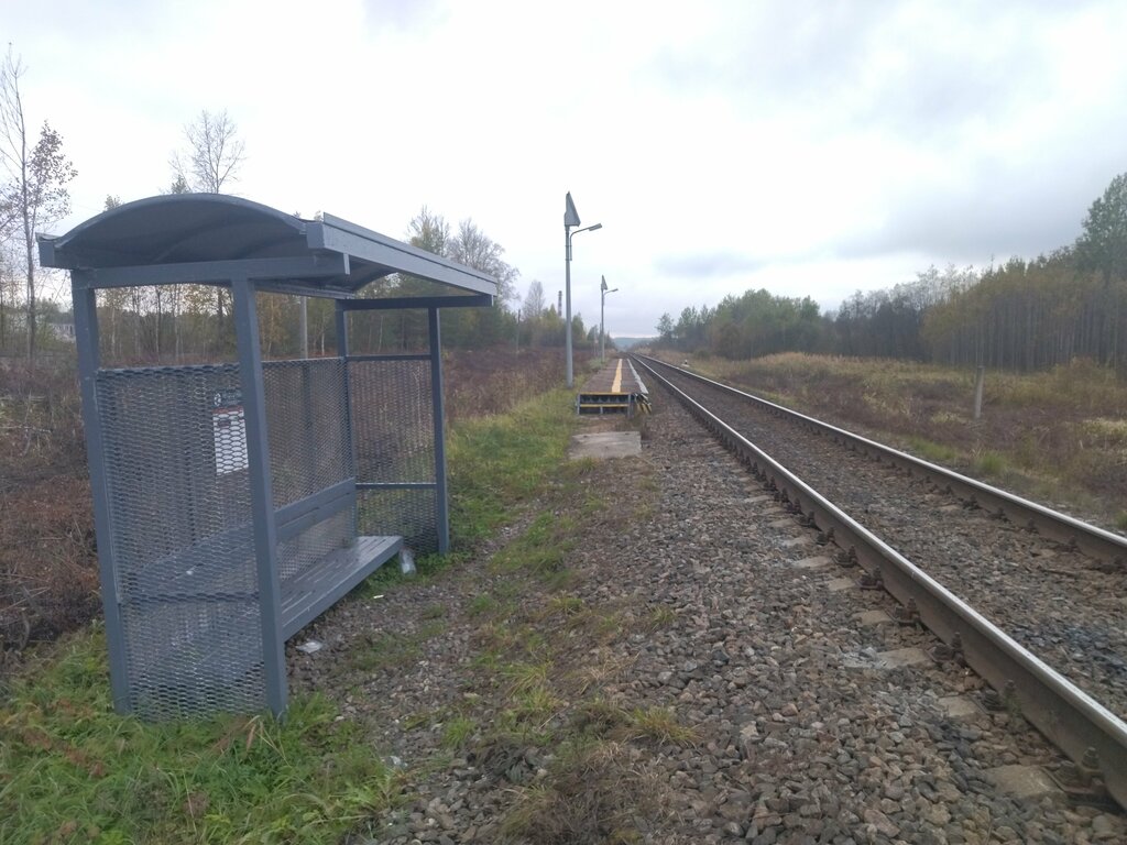 Tren istasyonu остановочный пункт 300 километр, Bologoe, foto