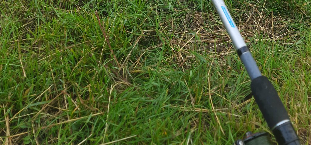 Motosiklet pisti Мототрасса, Krasnodarski krayı, foto