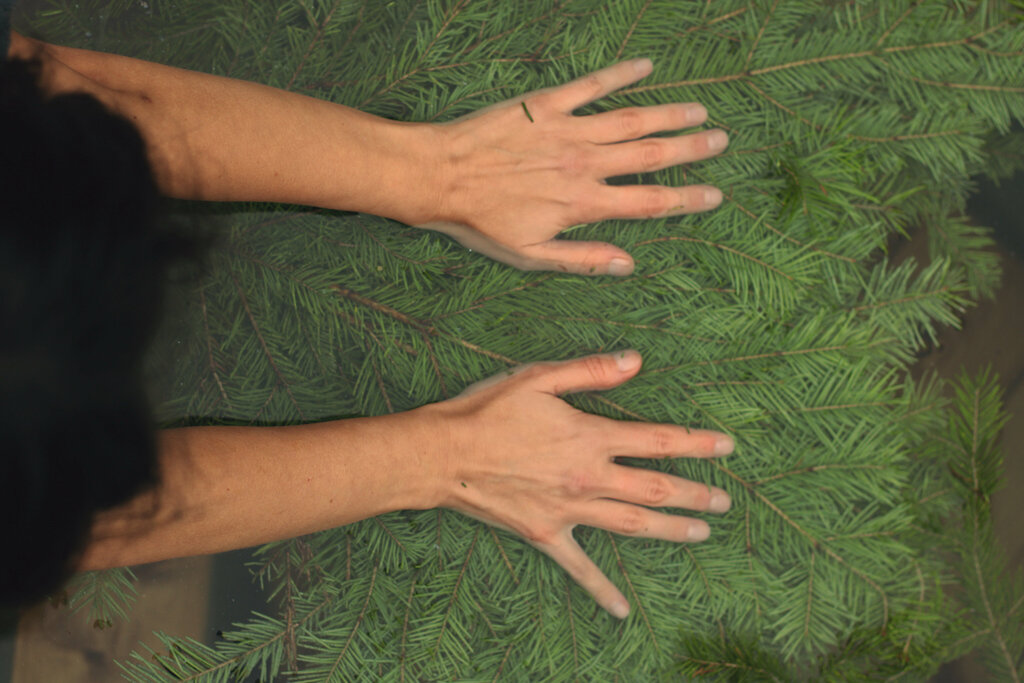 Hamamlar Bani Sedelniki, Sverdlovskaya oblastı, foto