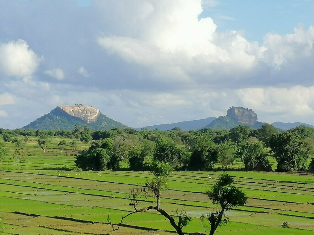 Otel Organic Garden Sigiriya, , foto