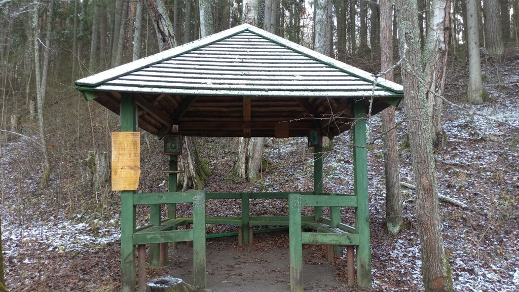 Ortodoks kiliseleri Православный храм, Sarov, foto