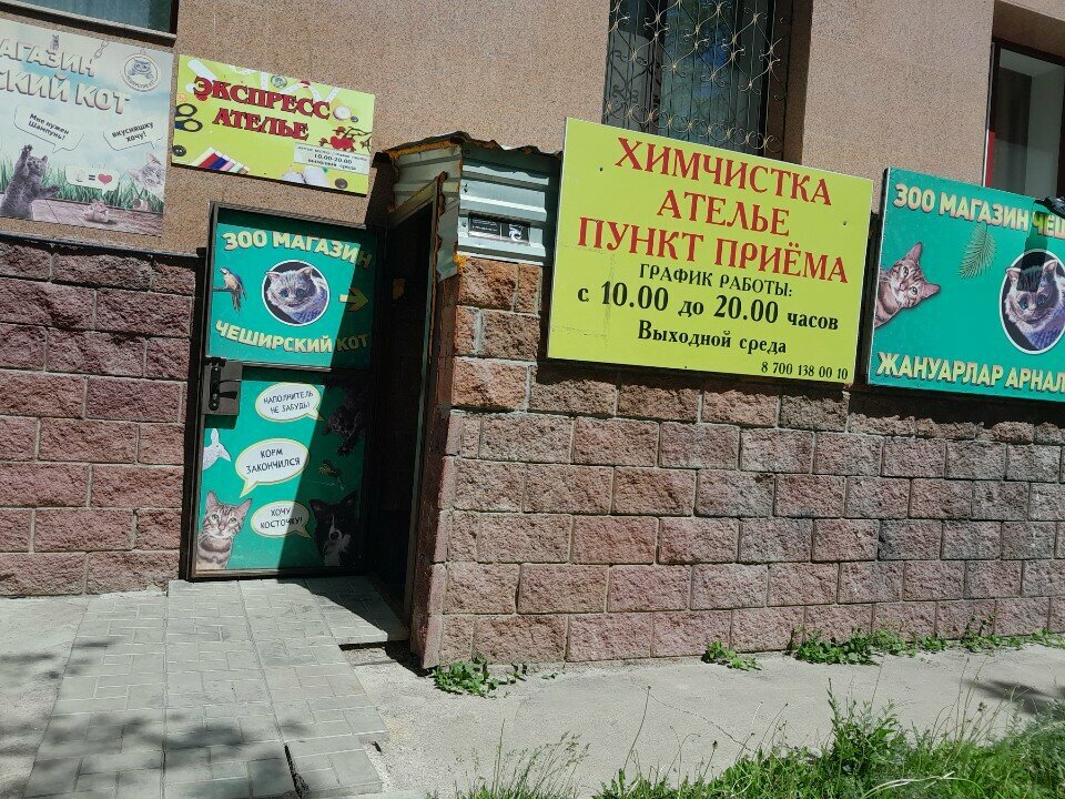 Petshop Cheshirskiy Kot, Astana, foto