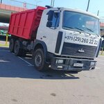 АлЗу (Lieningradskaja vulica No:136Бк2), nakliye firmaları  Vitebsk'ten