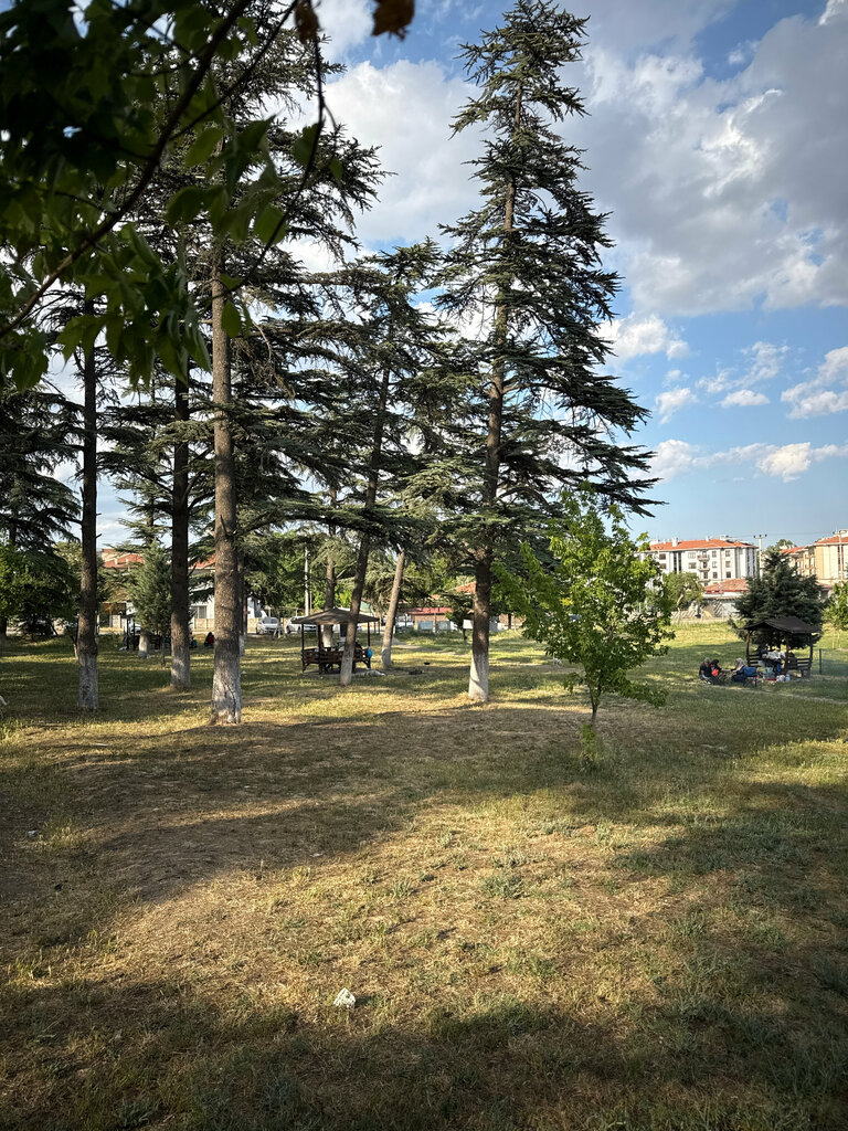 Kültür ve eğlence parkları Alpullu Çamlığı Zübeyde Hanım Milli Parkı, Babaeski, foto