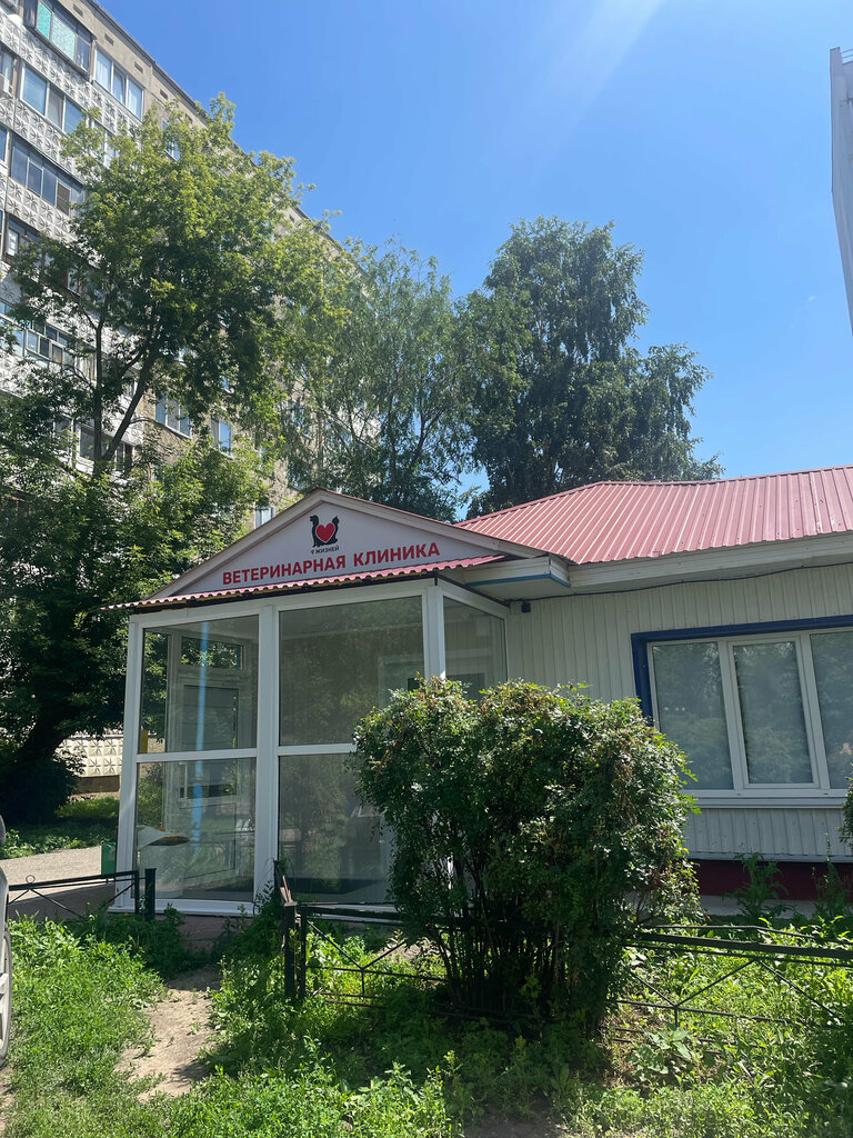 Veteriner klinikleri 9 Жизней, Ulyanovsk, foto