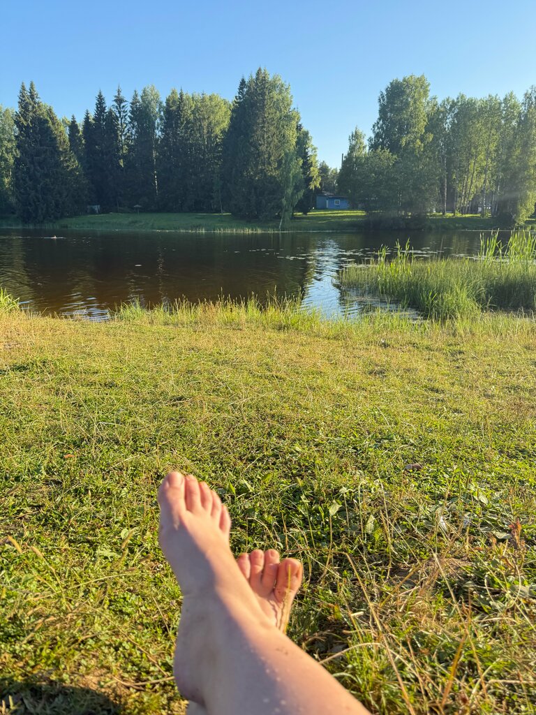 Plaj Beach, Kostromskaya oblastı, foto