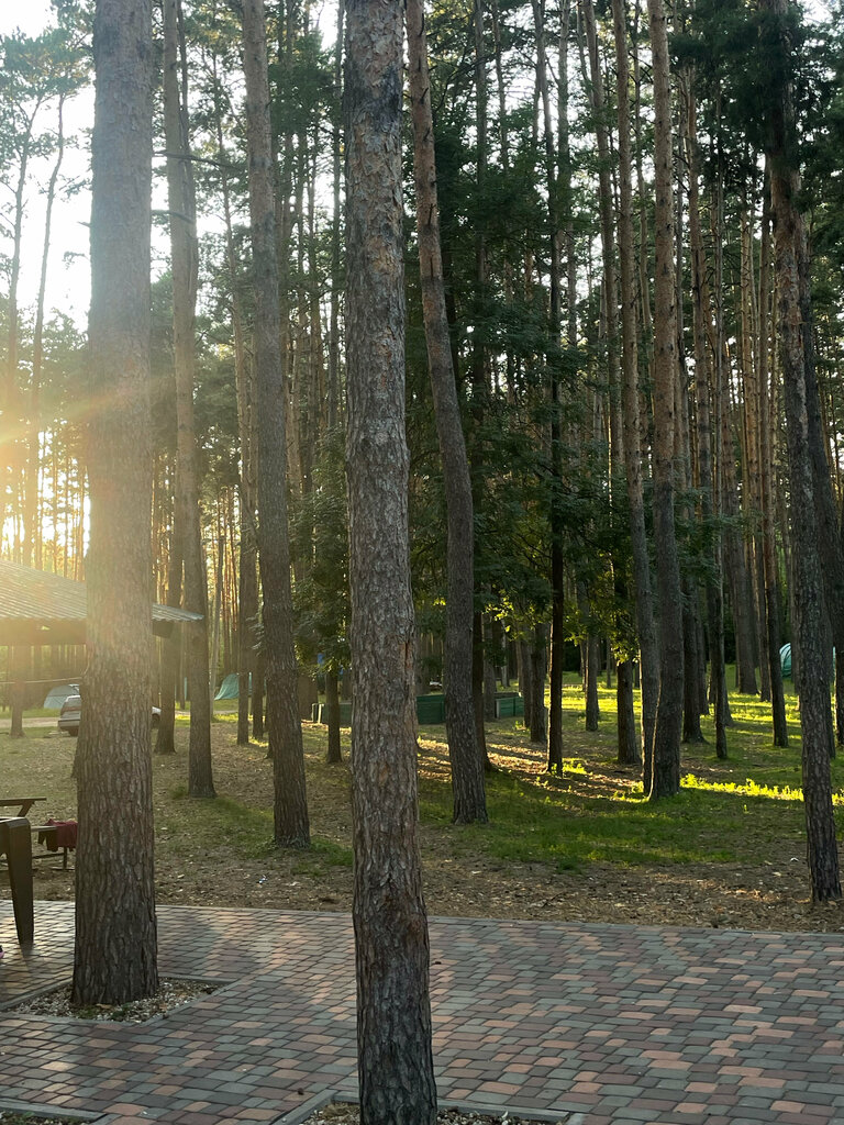 Sağlık merkezleri Берёзовая Роща, Lipetskaya oblastı, foto
