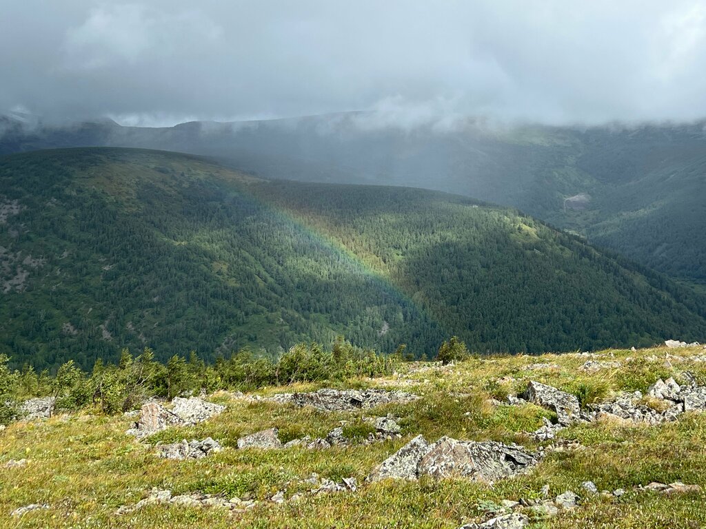Dağ zirvesi Гора Туманная, Hakasya, foto