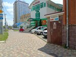 Патриот (Dzerzhinskogo Street No:2/2), spor kulüpleri  Stavropol'dan
