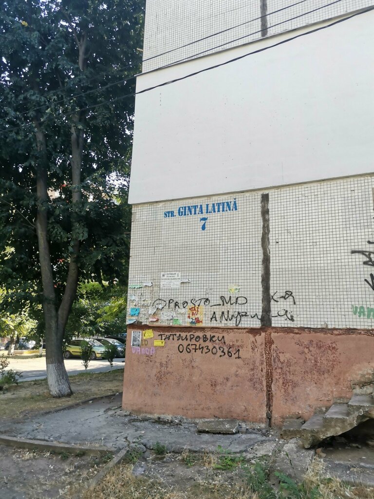 Nakliye firmaları Optimum Solutions Srl, Kişinev, foto