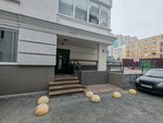 Шерстяная собака (Shaumyana Street No:81А), evcil hayvan kuaförleri  Yekaterinburg'dan