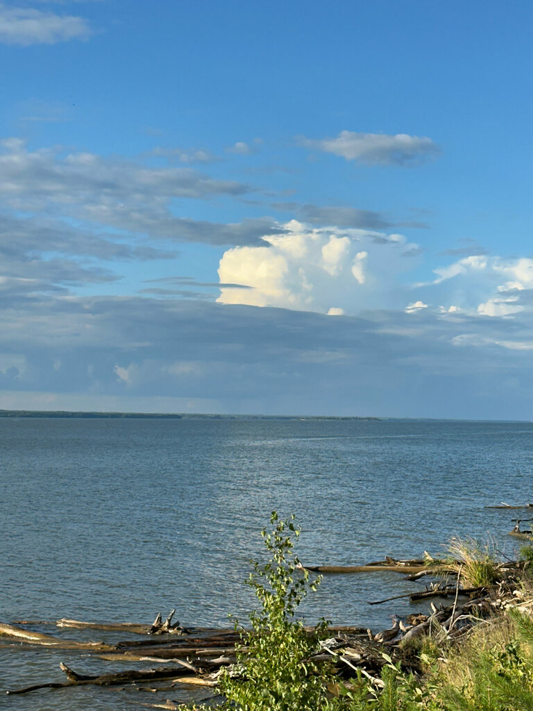 Piknik alanı Место для пикника, Novosibirskaya oblastı, foto
