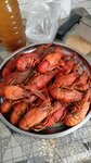 Lonely Crayfish (Mır kóshesi No:8, mikrorayon Amangeldy), balık ve deniz ürünleri  Kostanay'dan