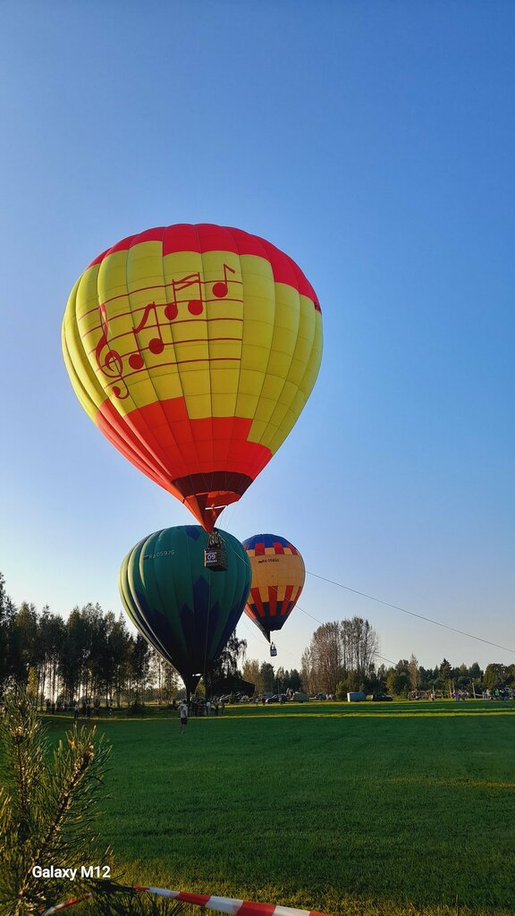 Hava meydanı ВПП Мальская Долина, Pskovskaya oblastı, foto