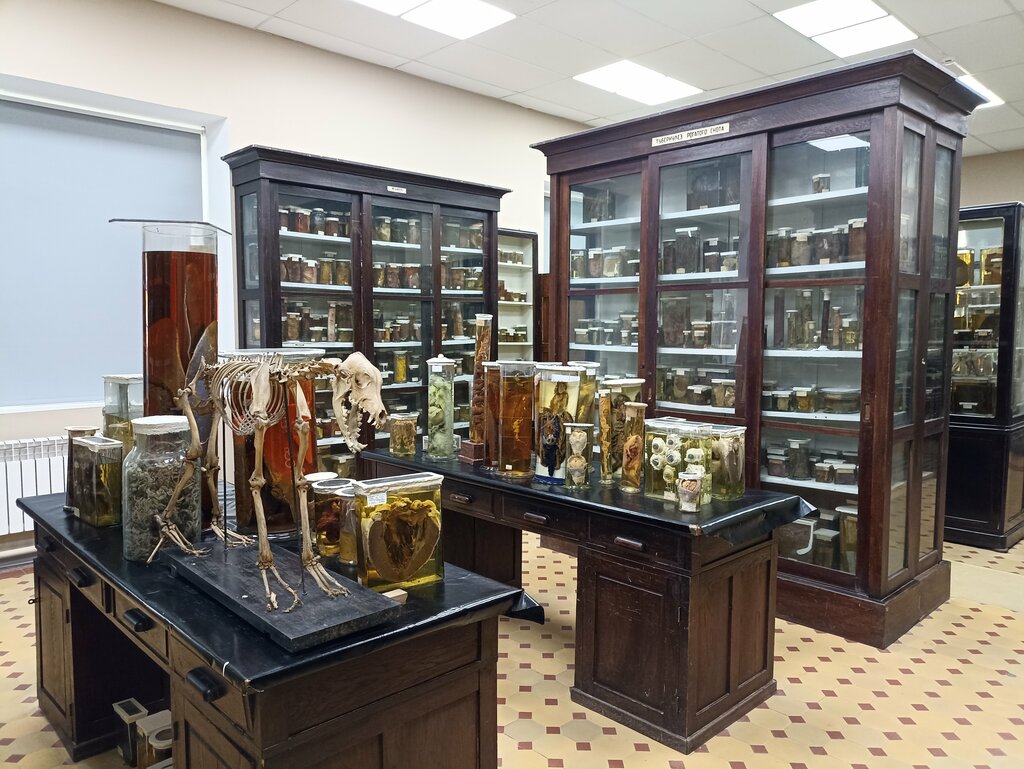 Müzeler ve sanat galerileri Музей патологической анатомии, Saint‑Petersburg, foto