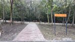 Dog park (Stavropol Territory, Kislovodsk), köpek gezdirme alanları  Kislovodsk'tan