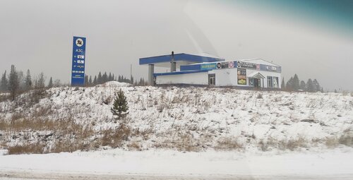 Benzin istasyonu ТрансОйл, Tomskaya oblastı, foto