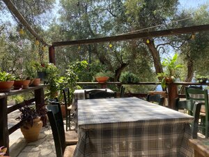 The Night Owl (Ionian Islands, munitsipalitet Kerkira, Corfu Island), restoran  Dünya'dan