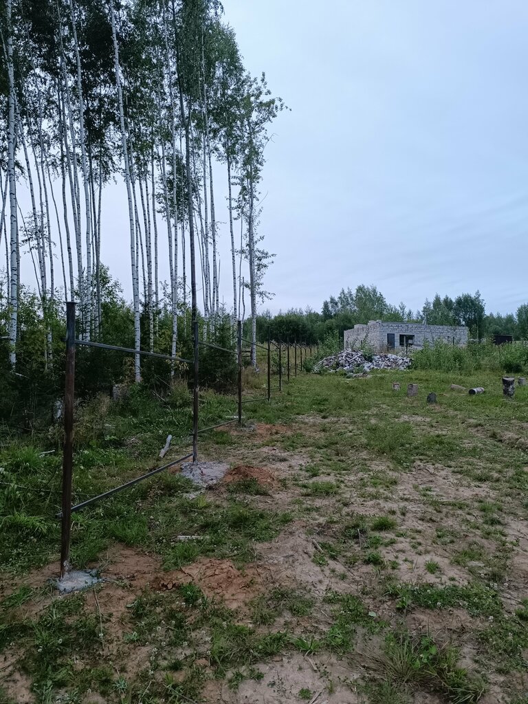 Kiralama noktası Прост, Berezniki, foto