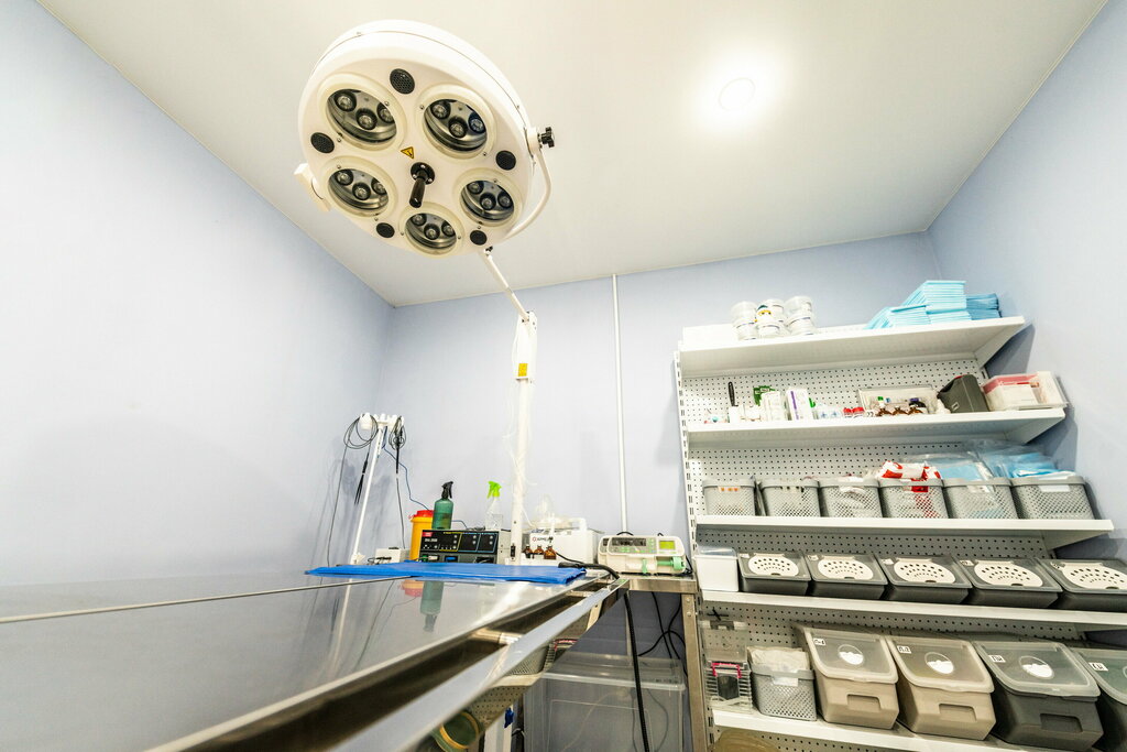 Veteriner klinikleri Bolshakov ONKOVet, Saransk, foto