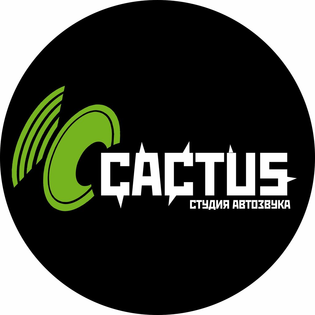 Oto ses sistemleri Cactus, Taganrog, foto