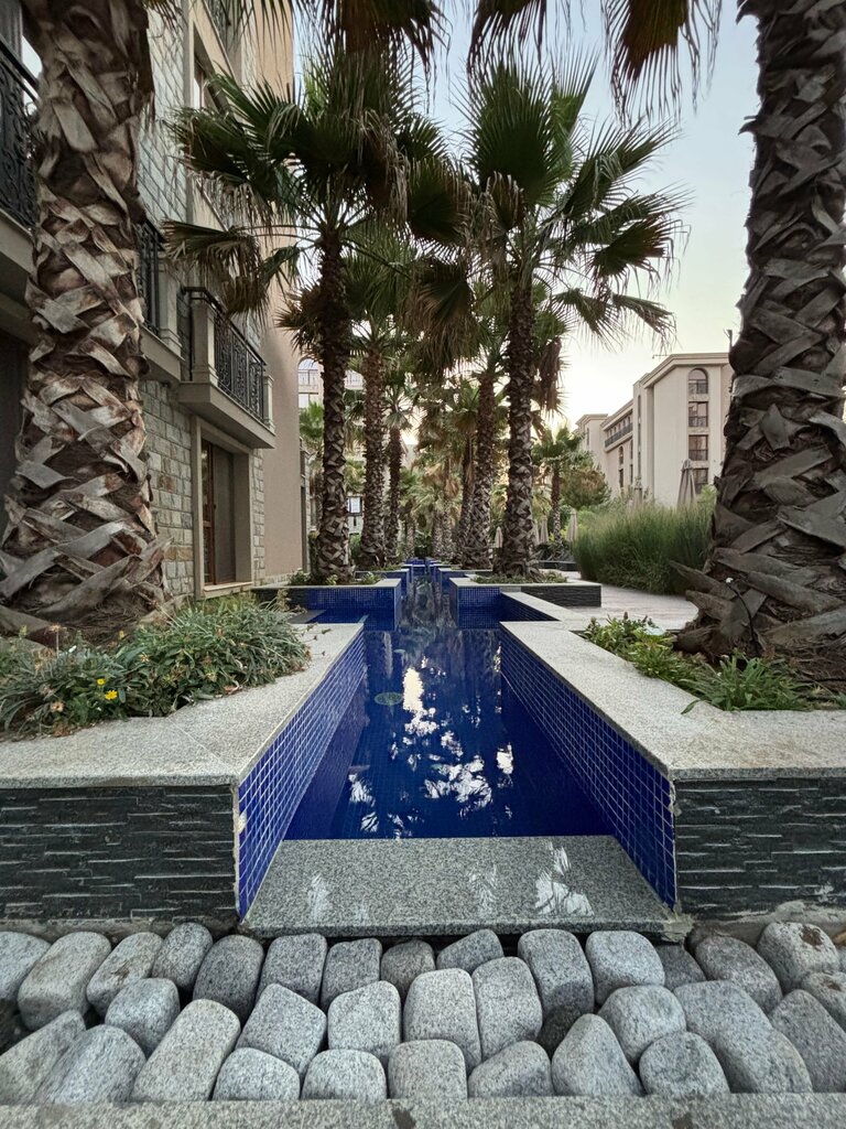 Yüzme havuzları Palmiye Havuzu, Güneş Sahili Tatil Tesisleri, foto