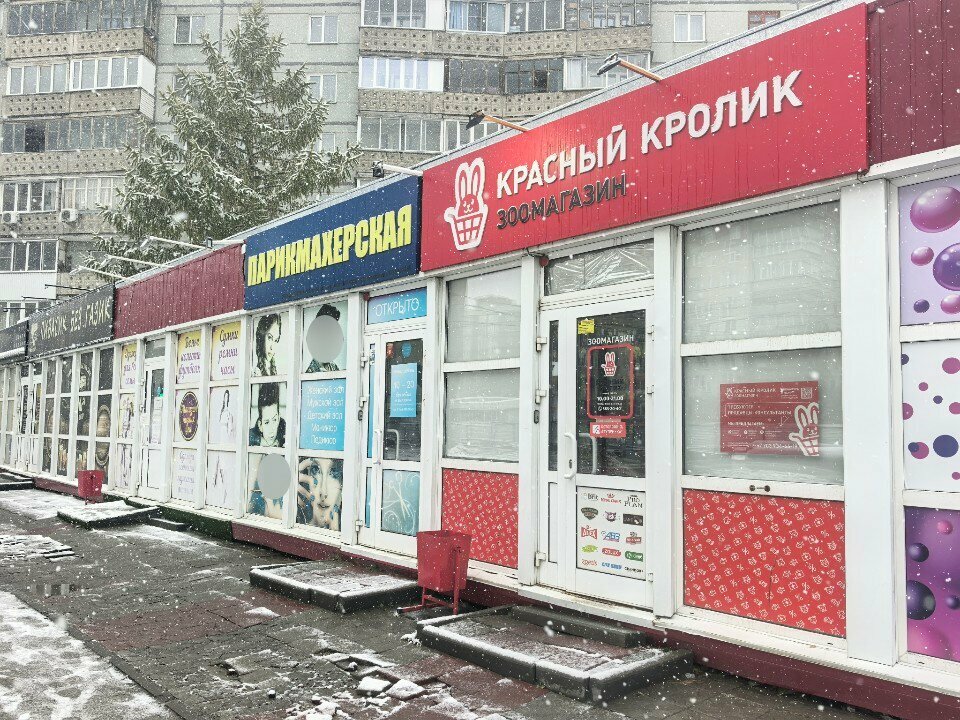 Petshop Красный Кролик, Novosibirsk, foto