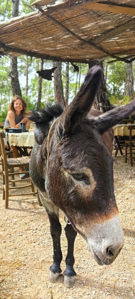 Kamp alanları Cennet Camping, Fethiye, foto
