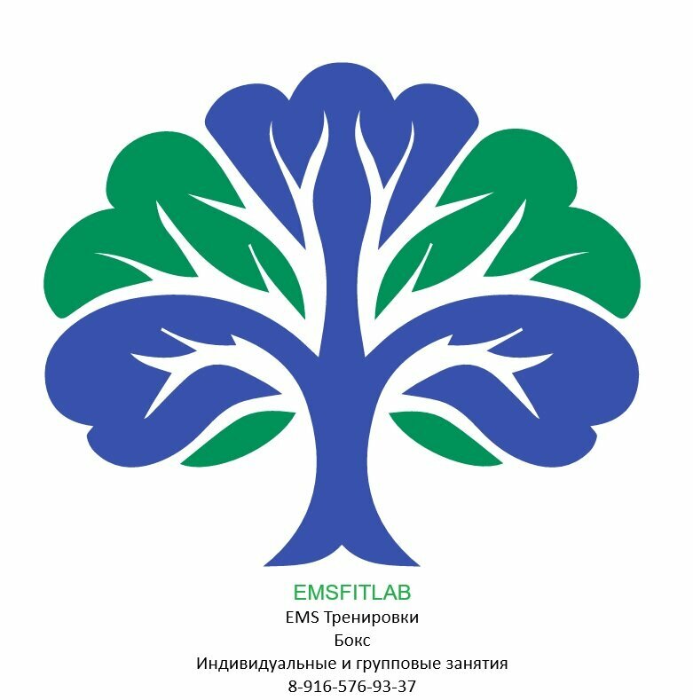 Fitness kulüpleri Emslabfit, Moskova, foto