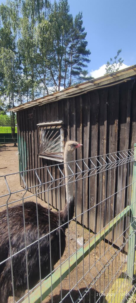 Resort oteller, tesisler Усадьба Кони-Пони, Minskaya oblastı, foto