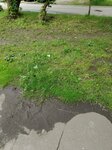 КПП №3 (Moscow Region, Elektrostal, Gorkogo Street), geçiş noktaları, güvenlik kontrol alanı  Elektrostal'den