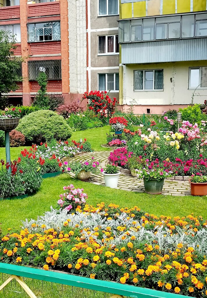 Turistik yerler Клумба, Kursk, foto