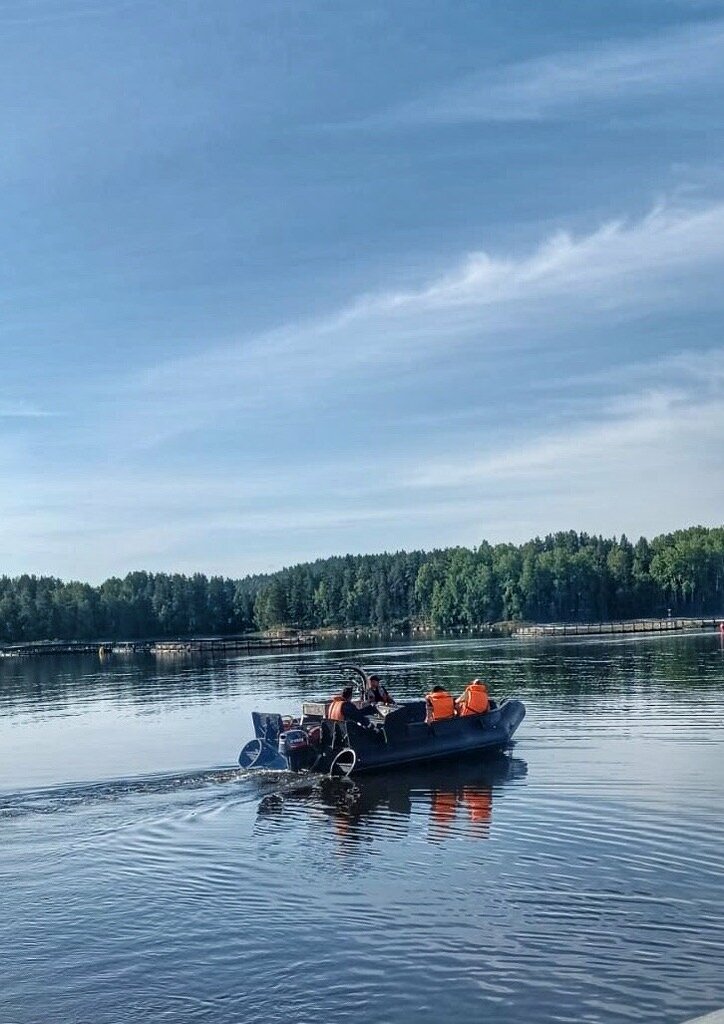 Balık çiftçiliği ve toptancıları Форель Лавиярви, Karelya, foto