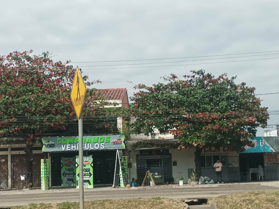Restoran Caja China El Buen Sabor, Santa‑Krus, foto
