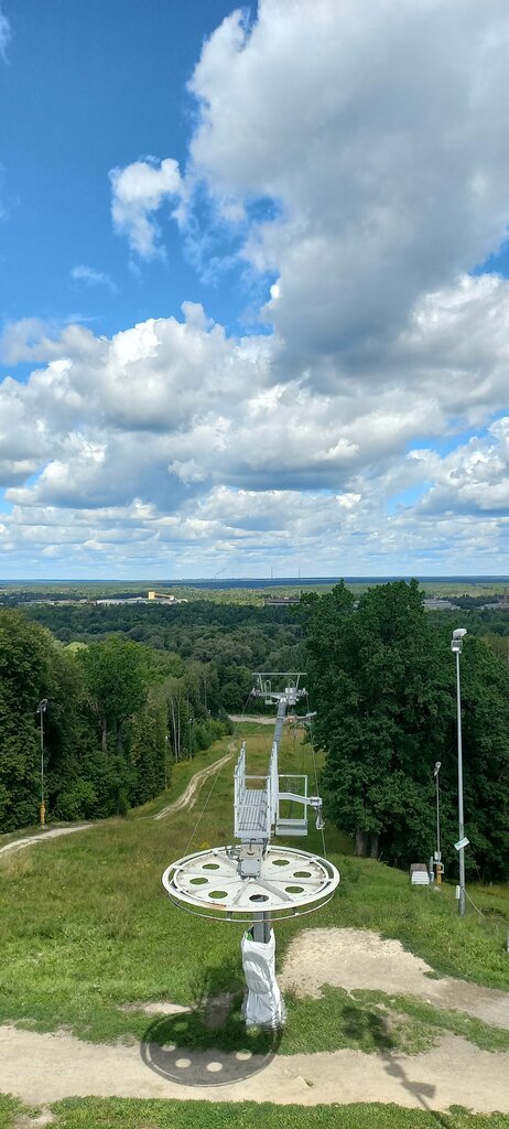 Orman роща Соловьи, Briansk, foto