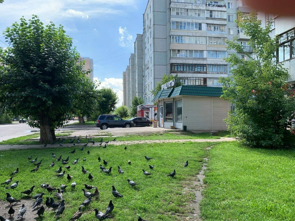 Manavlar Prodovolstvenny magazin Na Ladushke, Krasnoyarsk, foto