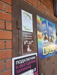 Grocery (Solnechnaya Street No:5А, Erdenevo Railway Station), market  Kalujskaya oblastından